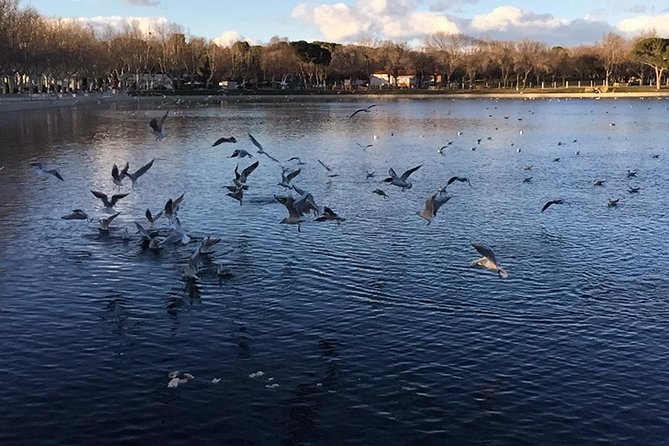 Private Madrid Fullday Guided Tour with Dlx Car - FAQ