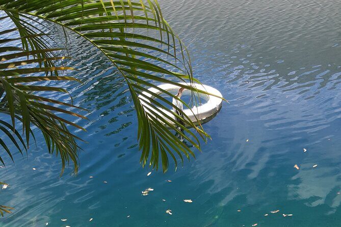 Private Magic City Tour with Transfers Experience - Why Choose the Private Magic City Tour?