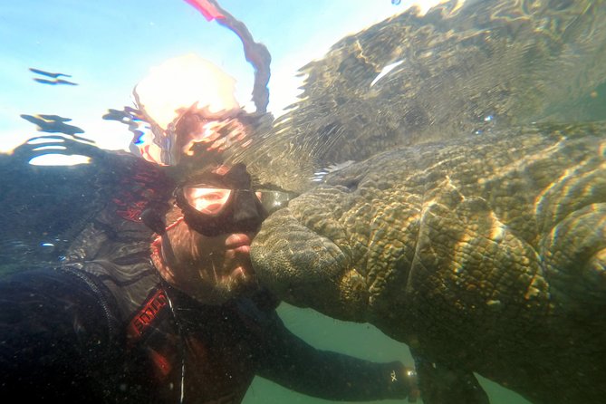 Private Manatee Swim for up to 6 with In-Water Divemaster/Photographer - Logistics and Practical Details