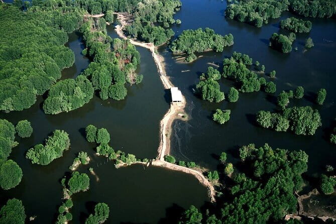Private Mangrove Forest and Monkey Island Exploration - Lunch at Vam Sat Restaurant