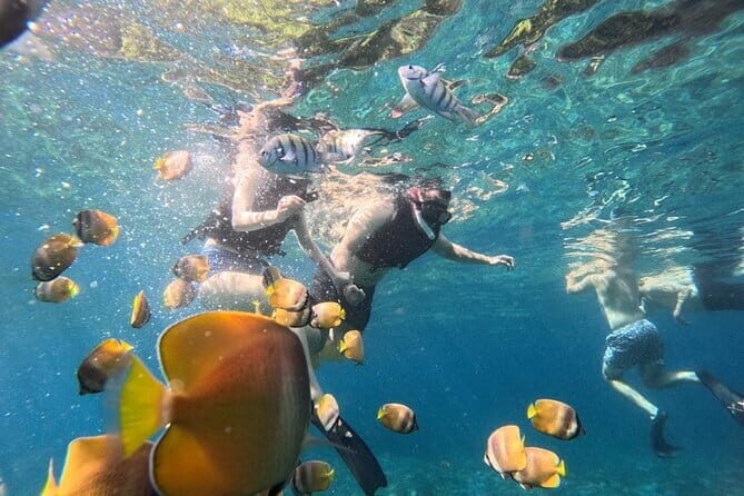 Private Manta Snorkeling Trips from Nusa Lembongan - Who Should Consider This Tour?