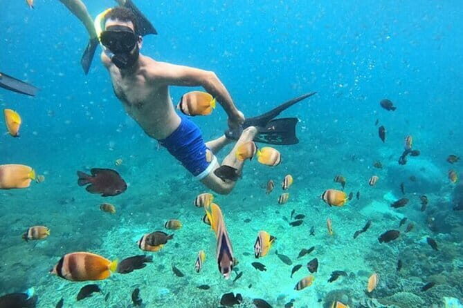 Private Manta Snorkeling Trips from Nusa Lembongan - Frequently Asked Questions