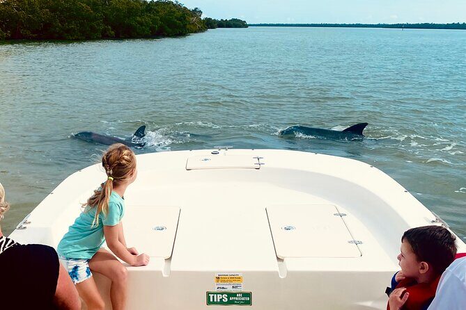 Private Marco Island / 10,000 Islands Sightseeing & Dolphin Tour - The Sum Up