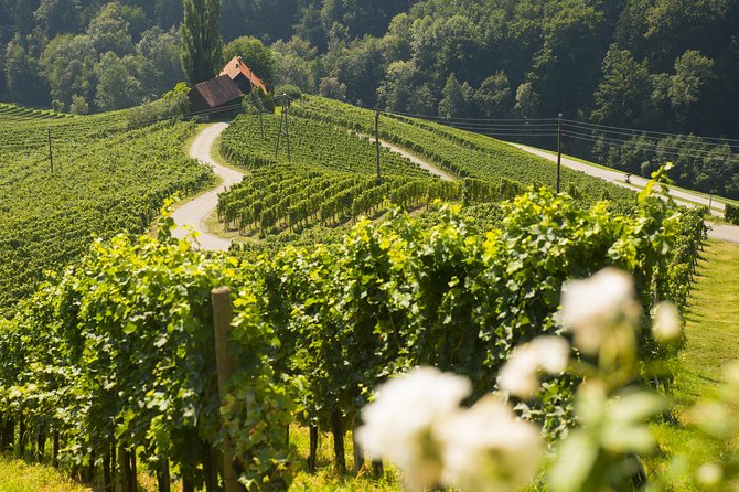 Private Maribor, Ptuj & Wine Road from Ljubljana - Final Thoughts