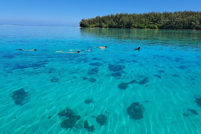 Private Marine Excursion and snorkeling in the lagoon of Moorea - Why This Tour Stands Out