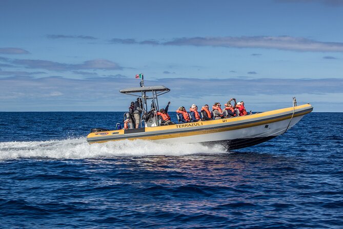 Private Marine Wildlife Boat Tour - Who Will Love This Tour?