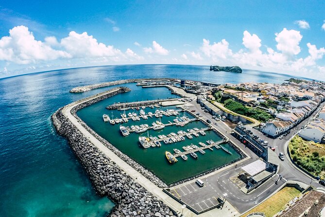 Private Marine Wildlife Boat Tour - The Sum Up: Is It Worth It?