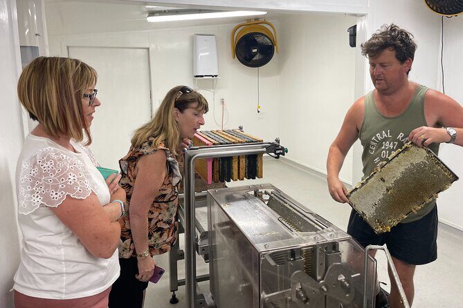 Private Martinborough Foodie Delights Tour from Wellington - The Experience and Atmosphere