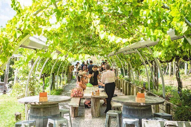 Private Matakana Personalised Tour - FAQ
