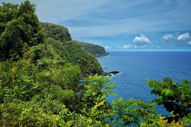 Private Maui Redwood Hiking Experience - Discover the Unique Beauty of Maui’s Redwood Forests with a Private Guided Hike