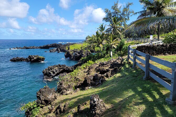 Private Maui Redwood Hiking Experience - Why This Tour Is a Great Choice