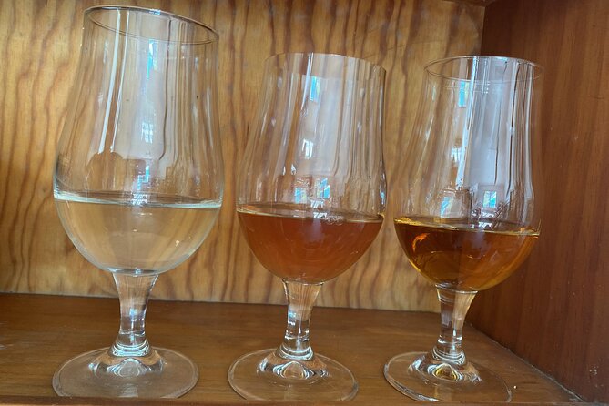 Private Mead Taste Experience in Lourdes - Why This Tour Is Worth Considering