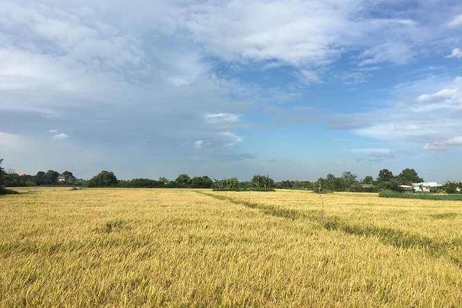 Private Mekong delta - Non touristic area 02D - 01N - Floating market - Who Will Love This Tour?