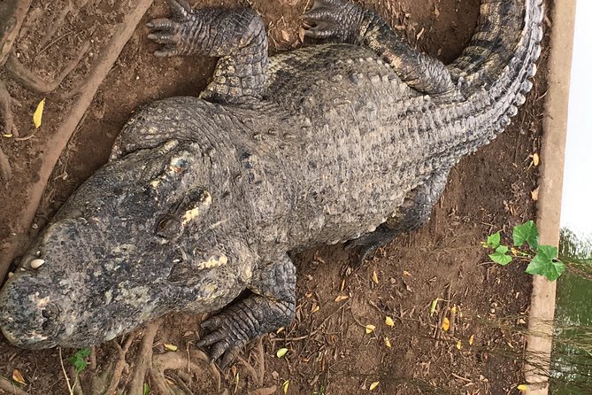 Private Mekong delta - Non touristic area 02D - 01N - Floating market - FAQ