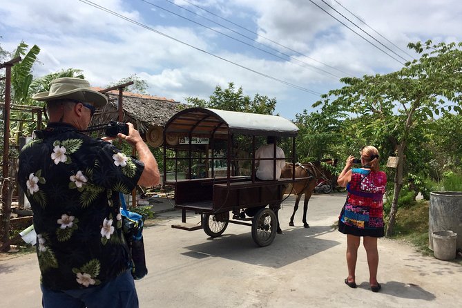 Private Mekong Delta Tour - My Tho - Ben Tre from Cruise Port - The Value Proposition