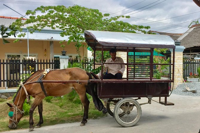 Private Mekong Delta Tour - My Tho - Ben Tre from Cruise Port - Who Should Consider This Tour?