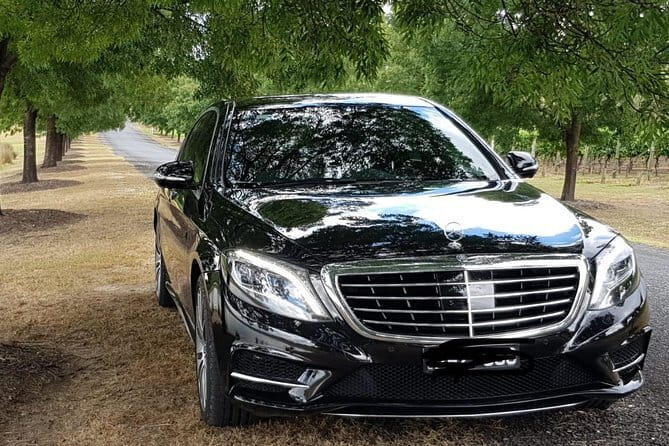 Private Melbourne CBD Sightseeing Tour  luxury vehicle - Why Choose This Service?