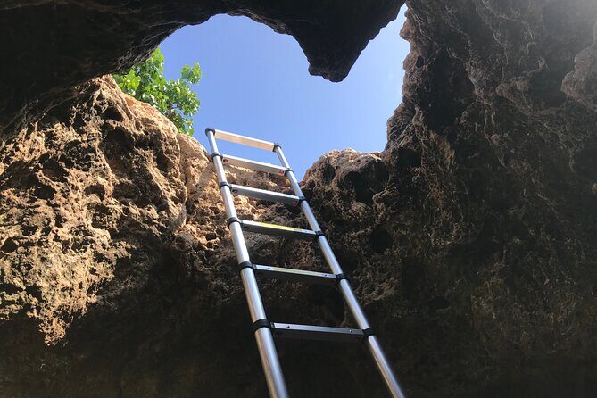 Private Mermaid Caves and West Oahu with Kaena Point Hike (Se habla Español) - Key Points