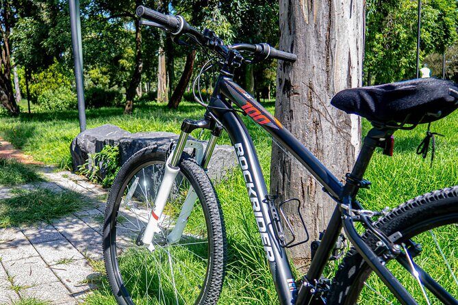 Private Mexico City Biking Tour - Key Points