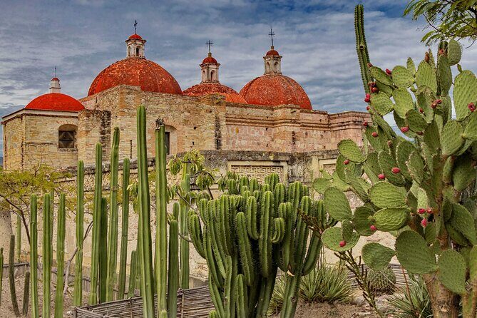 Private Mezcal Tasting Journey by Car in Oaxaca - A Deep Dive into the Tour’s Highlights