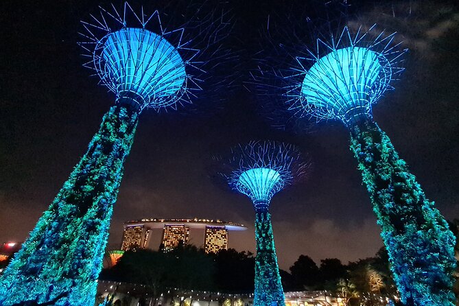 Private Mini-Bus Transfer to Attractions in Singapore - What Travelers Say