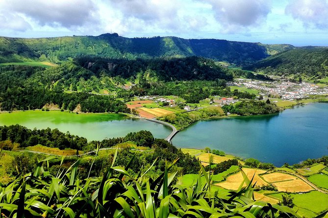 Private Mini Van Sete Cidades and Lagoa do Fogo (1-6 people) - What Travelers Say