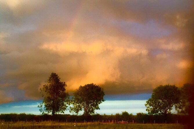 Private Miniature Horse Walking Near Lincoln - Special Celebrations and Parties