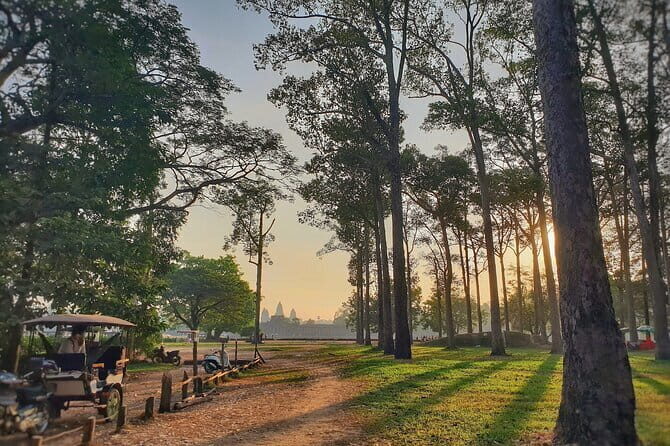 Private Minivan from Siem Reap to Kratie - Who Is This Tour Best For?