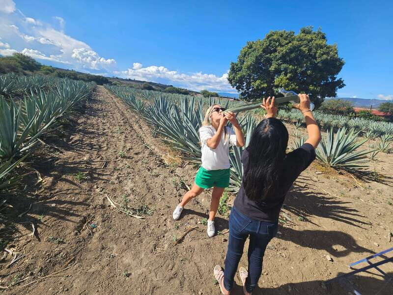 Private Mitla, Hierve el agua and Mezcal Tour with Lunch - A Deep Dive into the Tour Experience