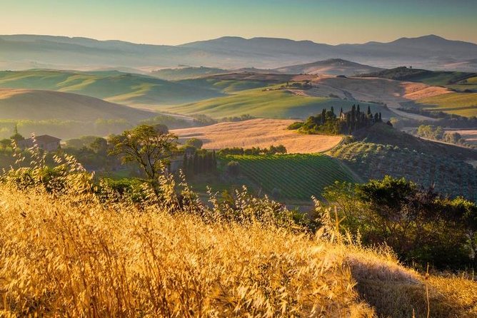 Private Montalcino and Pienza Tour from Siena - What Makes This Tour Stand Out?