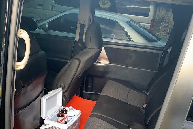 Private Montego Bay Airport Transfer Riu Palace, Riu Reggae Hotel - Key Points