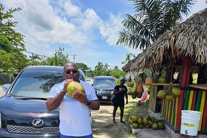 Private Montego Bay Airport Transfer to Negril/Westmoreland Hotel - Key Points