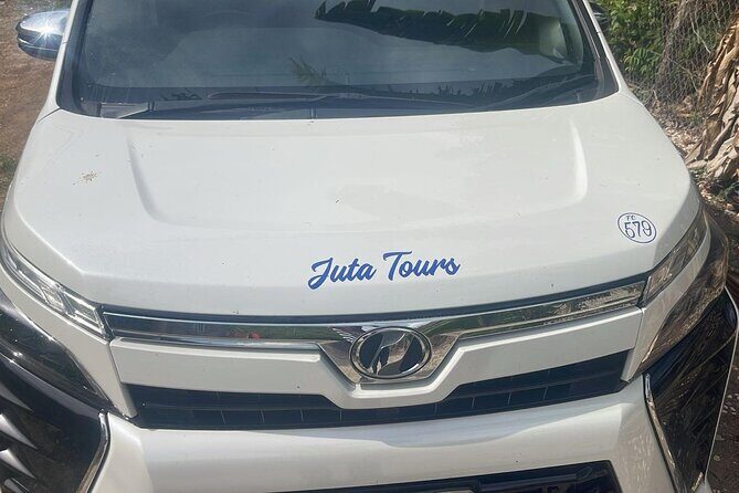Private Montego Bay Airport Transfers to Negril - Who Is This Transfer Best For?