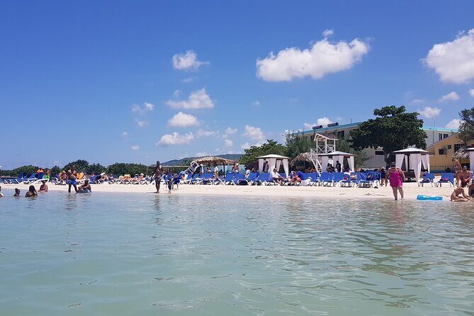 Private Montego Bay Highlight Tour with Local Guide - Insights from Reviews