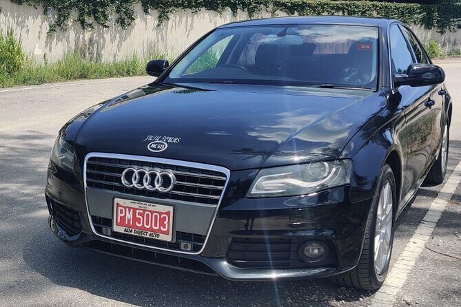 Private Montego Bay Shopping Tour with Transportation - Who Will Love This Tour?