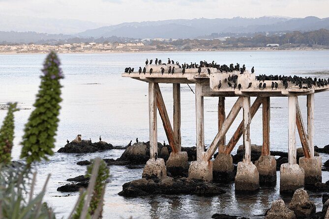 Private Monterey, Carmel and 17-Mile Drive Day Trip from San Francisco - The Itinerary in Detail