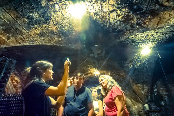 Private Montserrat With Wine Tasting Full Day Trip From Barcelona - Enjoying Cava Tasting at the Winery