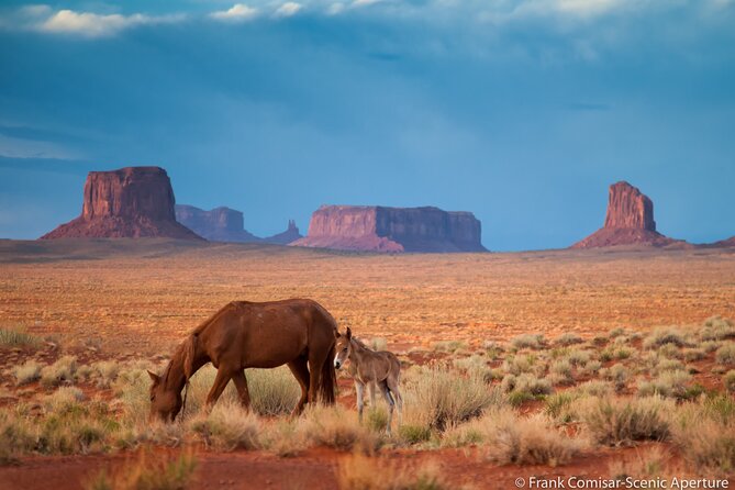 Private Monument Valley Tour - Exploring the Private Monument Valley Tour: An In-Depth Look