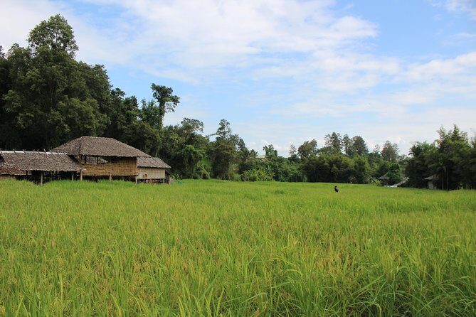 Private! Morning alms&Doi suthep&Wat Umong + Monjam & Hill tribe& Royal Project - Who Will Appreciate This Tour?