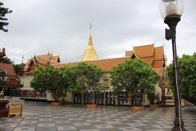 Private! Morning alms&Doi suthep&Wat Umong + Monjam & Hill tribe& Royal Project - The Sum Up