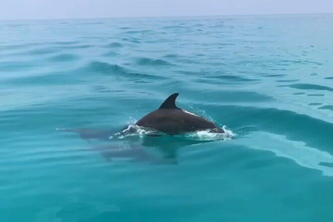 Private Morning Tiki Boat Eco Cruise in Key West - Exploring the Itinerary: What to Expect from This Eco Cruise