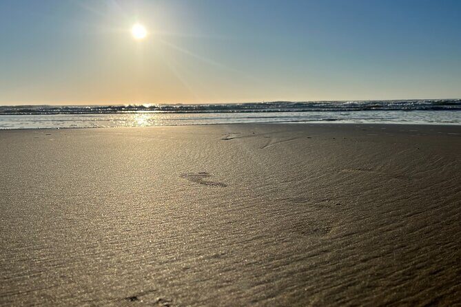 Private Morning Transfer From Noosa to Rainbow Beach - An In-Depth Look at the Experience