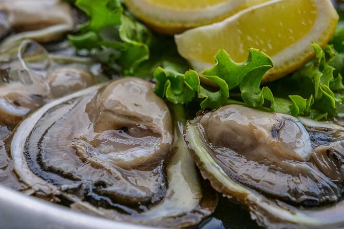 Private Mostar, Ston and Kravice Waterfalls - Costumizable Tour - Accessibility and Recommendations