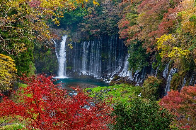 Private Mount Fuji and Hakone City Tour From Tokyo - Inclusions in the Tour