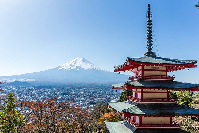 Private Mount Fuji and Hakone City Tour From Tokyo - Accessibility and Participation