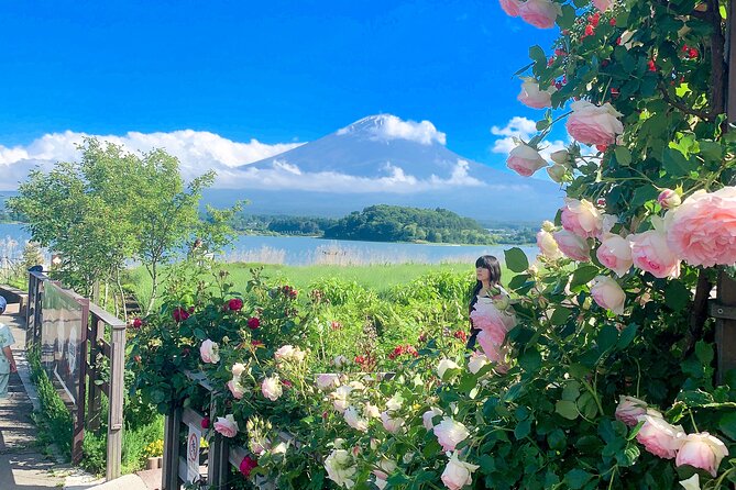 Private Mount Fuji and Hakone Sightseeing Day Trip With Guide - Guide Experiences and Feedback