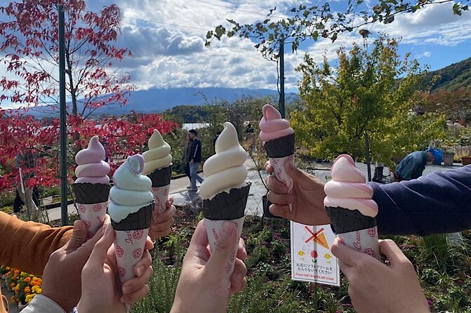 Private Mount Fuji and Hakone Sightseeing Day Trip With Guide - Safety Considerations