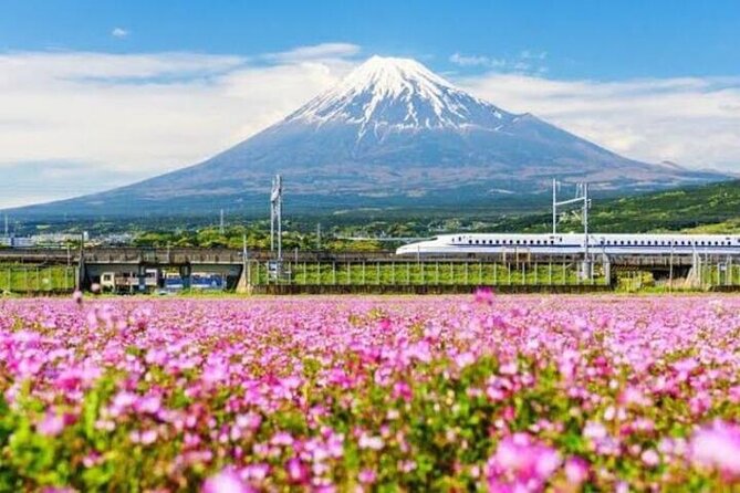 Private Mount Fuji and Hakone Sightseeing Day Trip With Guide - Booking and Cancellation Policies