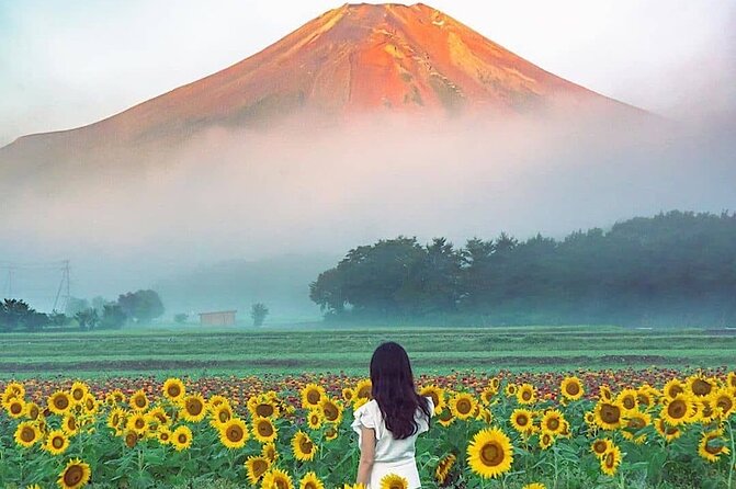 Private Mount Fuji and Hakone Sightseeing Day Trip With Guide - Preparing for the Tour