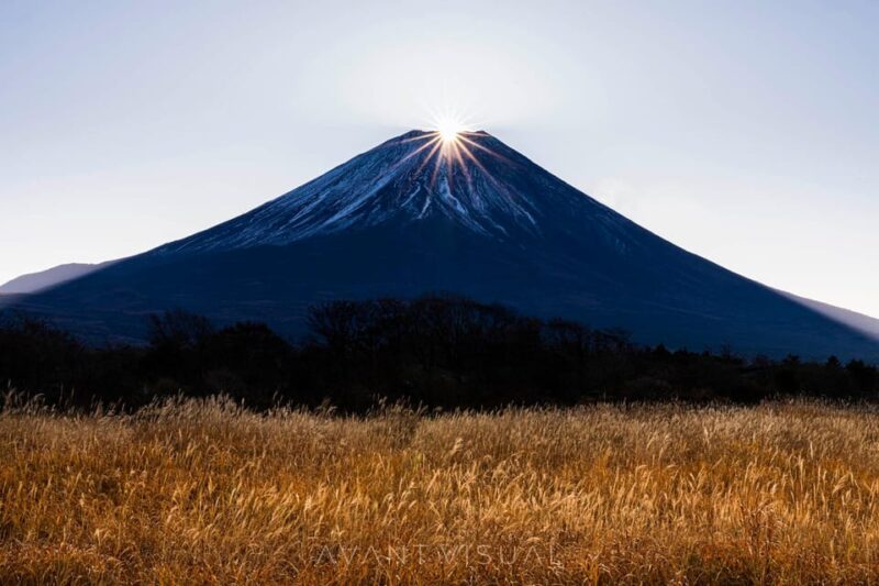 Private Mount Fuji ,Hakone Sightseeing Day Trip With Guide - Tour Inclusions